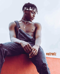 Fireboy DML Biography: Secrets | Age | Net worth | Songs | Wikis & More ...