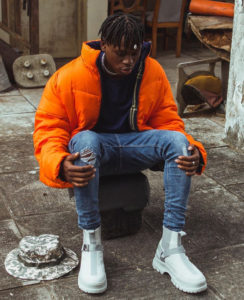 Fireboy DML Biography: Secrets | Age | Net worth | Songs | Wikis & More ...