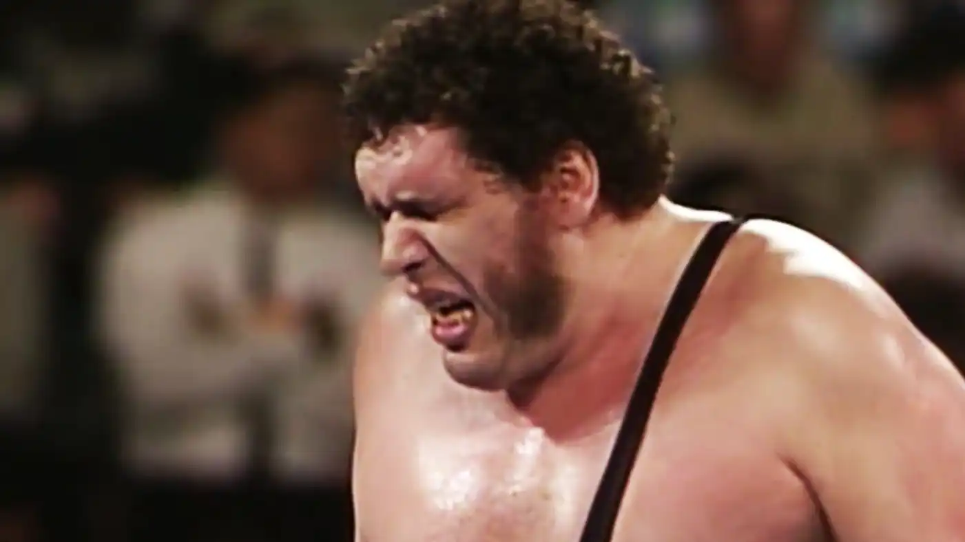 André the Giant Biography: Real Name, Net Worth, Height, Age, Wife ...