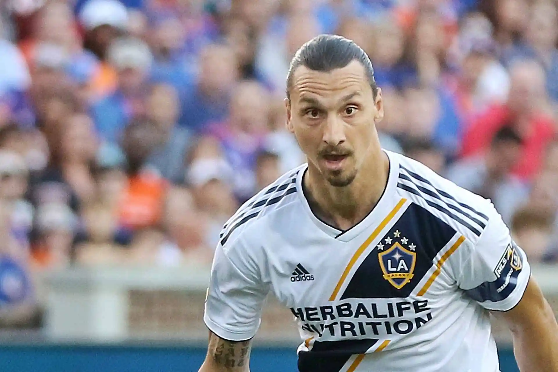 Meet Zlatan Ibrahimović’s Parents: Jurka Gravić and Šefik Ibrahimović