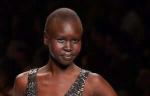 Alek Wek Biography: Husband, Daughter, Partner, Children, Net Worth ...