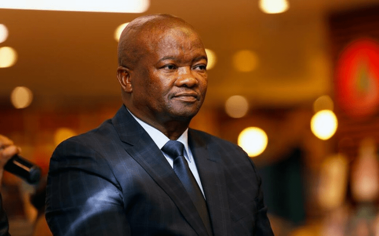 Bantu Holomisa Biography: Age, Salary, Wife, Net Worth, Nationality ...