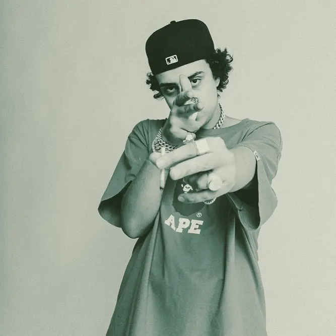 Leozin (rapper) Biography: Songs & Albums, Concerts, Net Worth, Height ...